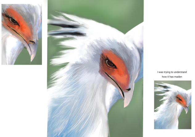 A bird. 2 part - ibisPaint