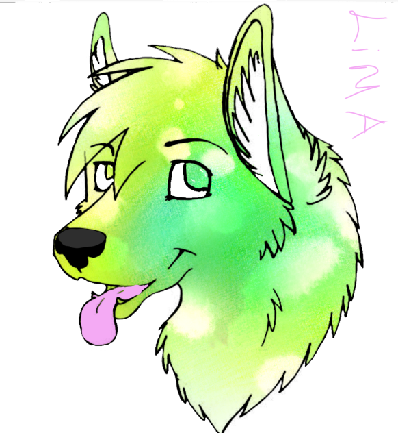 Lima - ibisPaint