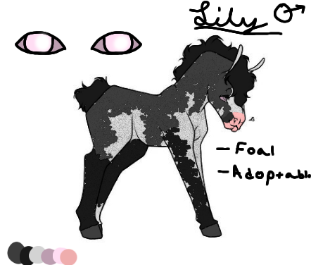 Lily - Foal Adoptable - ibisPaint