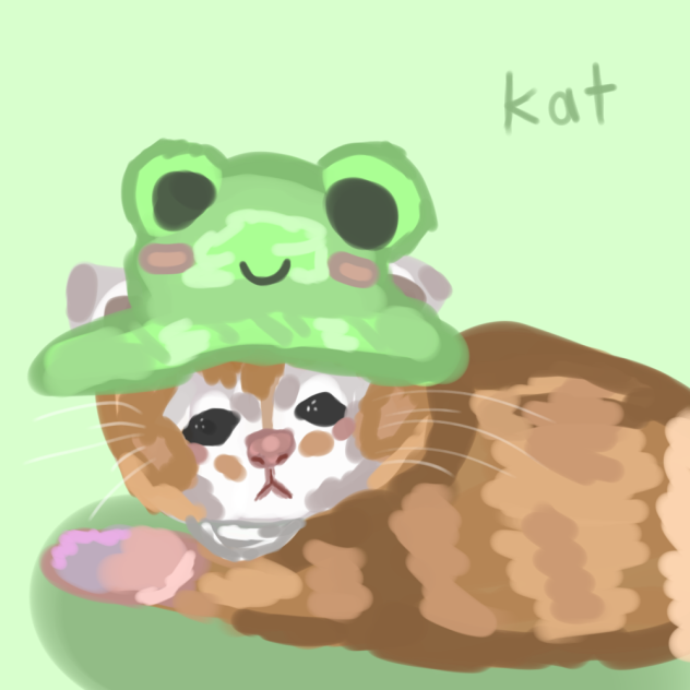 kat - ibisPaint
