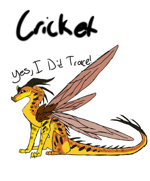 cricket - ibisPaint