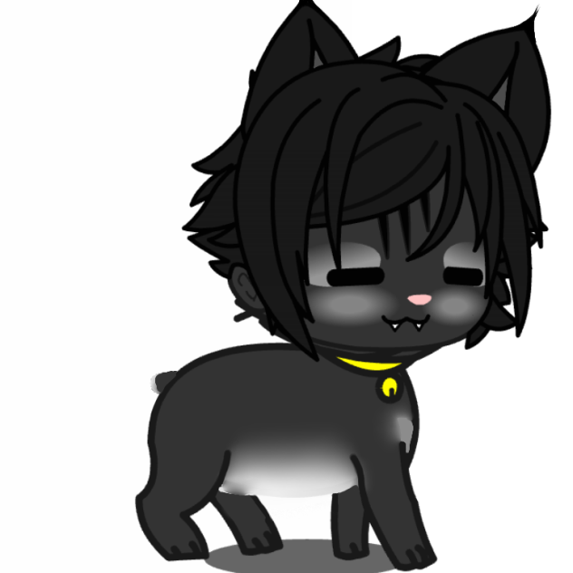 My Cat Bear - ibisPaint