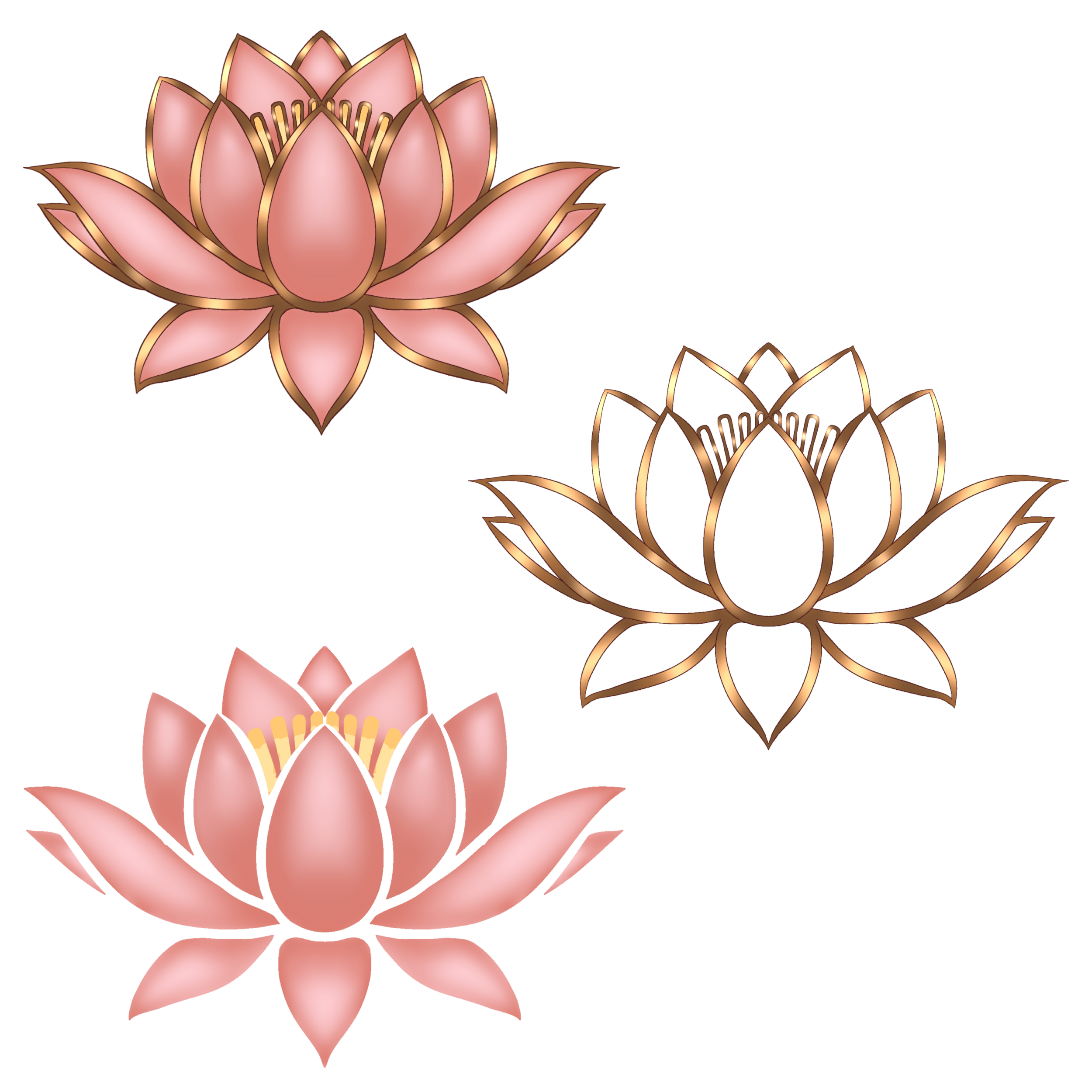 Lotus - ibisPaint