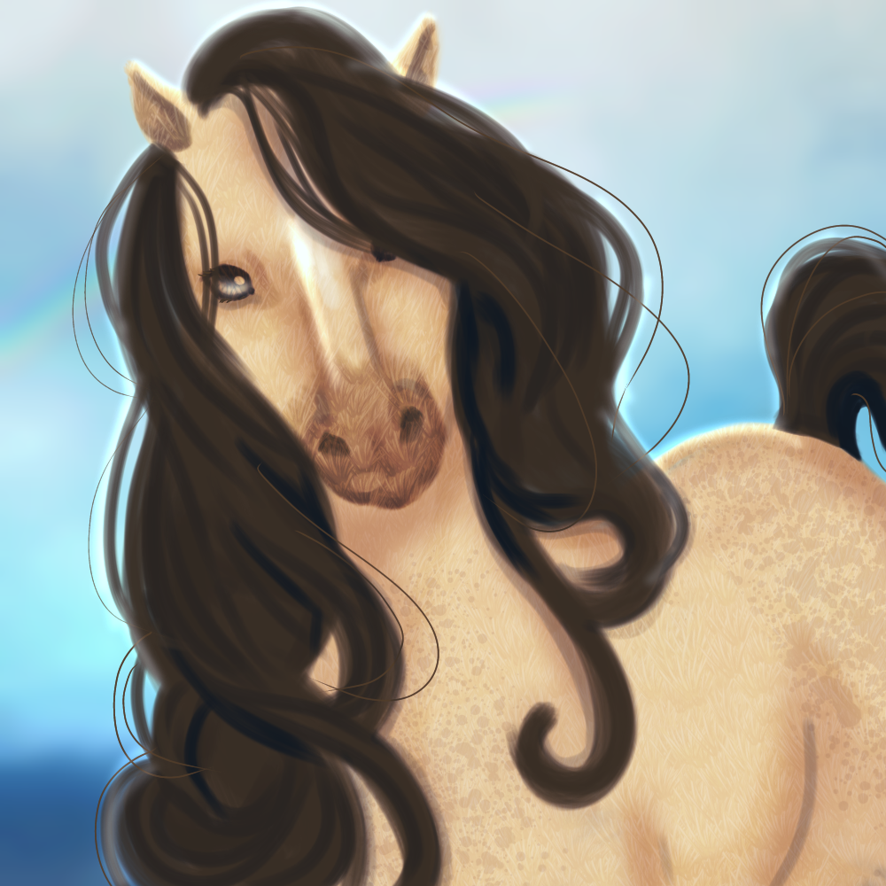 Beautiful Horse - ibisPaint