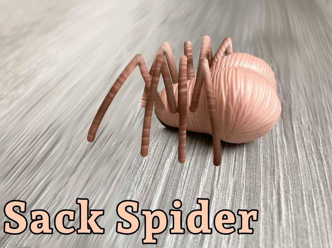 Sack Spider - ibisPaint