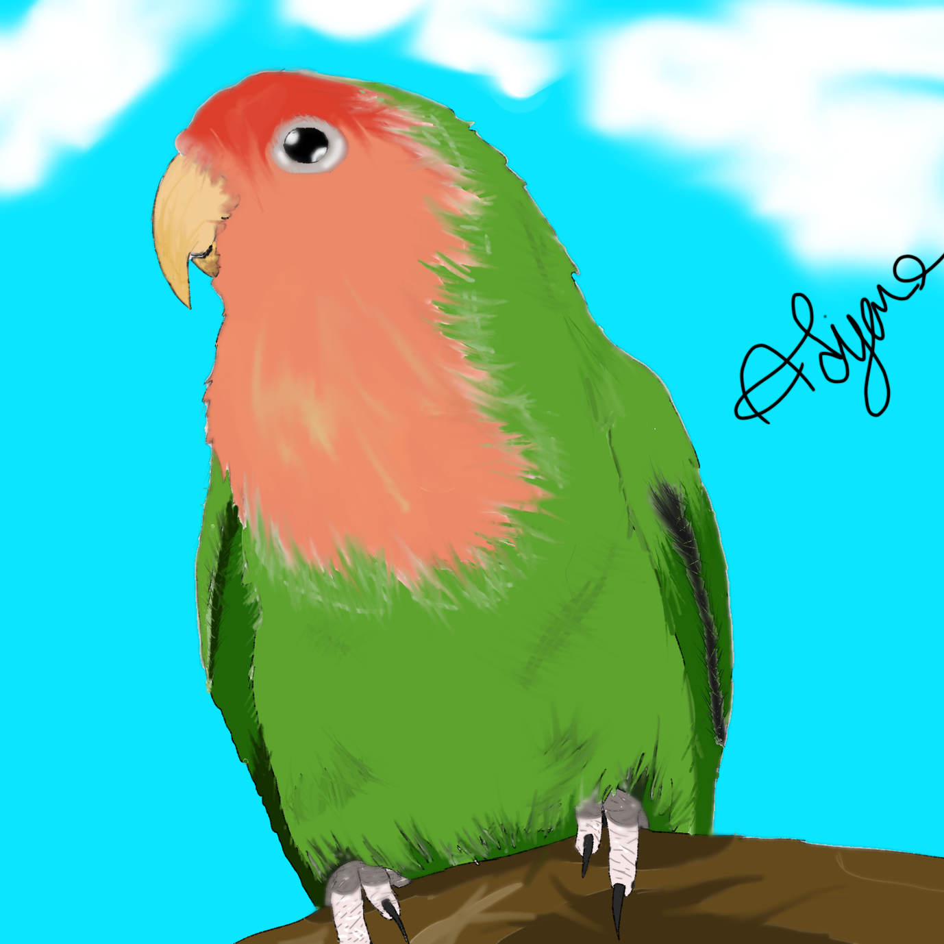 my lovebird chilly - ibisPaint