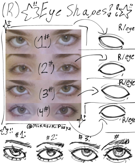 Eye Studies !! - ibisPaint