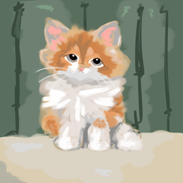 Kitten - ibisPaint