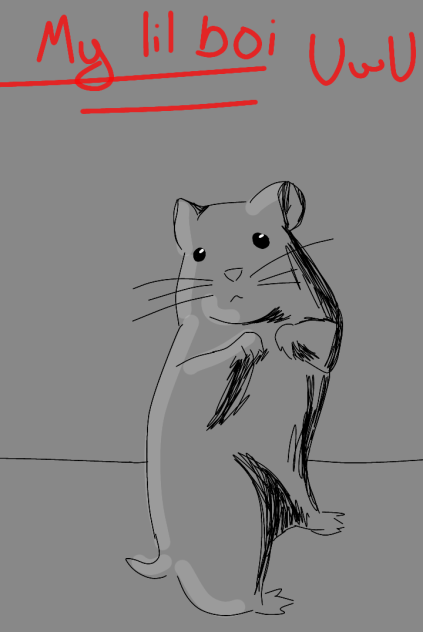 My new Hamster🐹 - ibisPaint