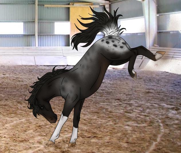 splash being spicy lol - ibisPaint