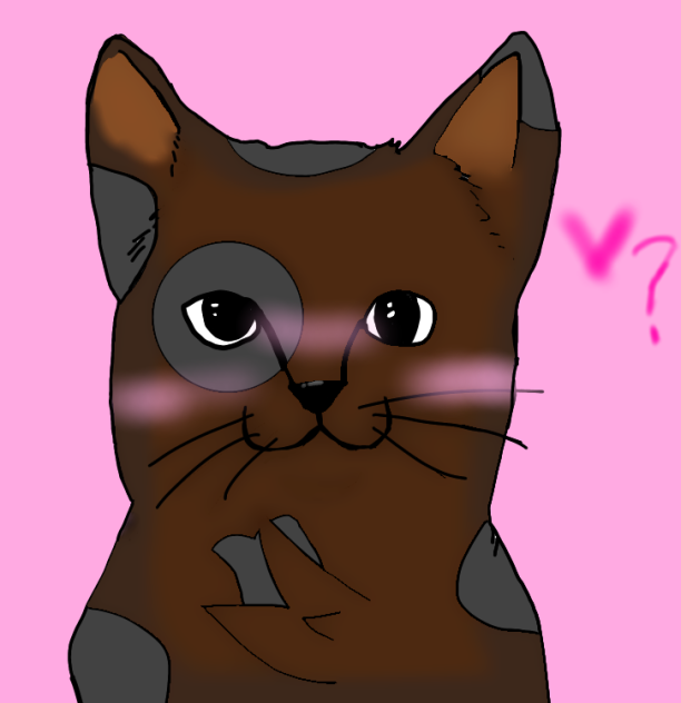Cat - ibisPaint
