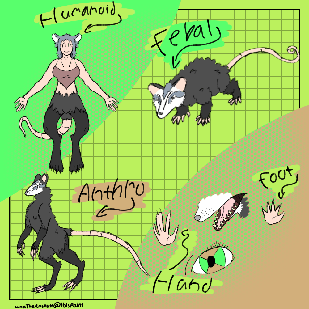 Darcy Worry (Opossum) - ibisPaint