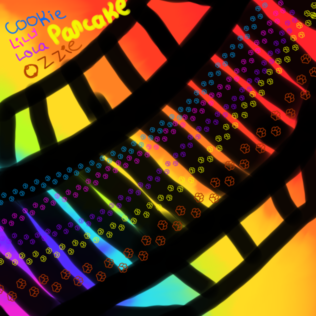 rainbow bridge - ibisPaint