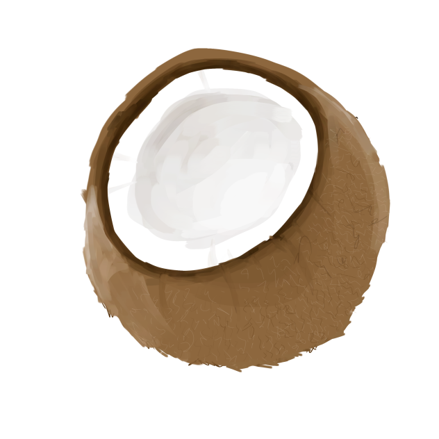 Coconut - ibisPaint