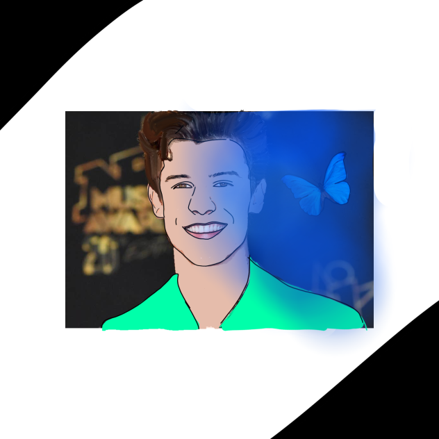 Shawn Mendes - ibisPaint