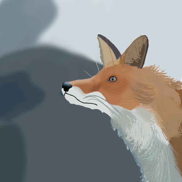 Fox - ibisPaint