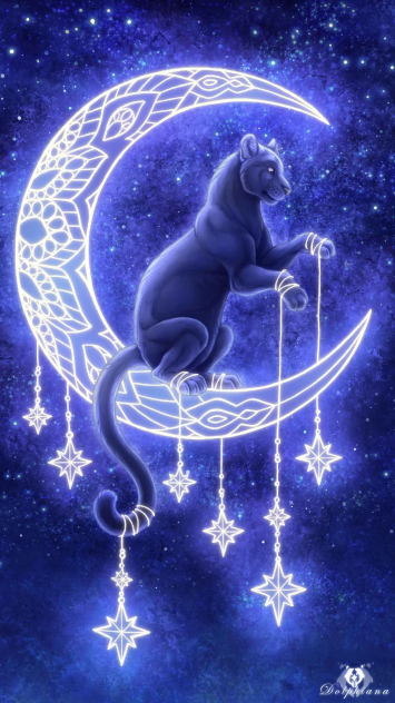 Big Cat with the moon and stars - ibisPaint