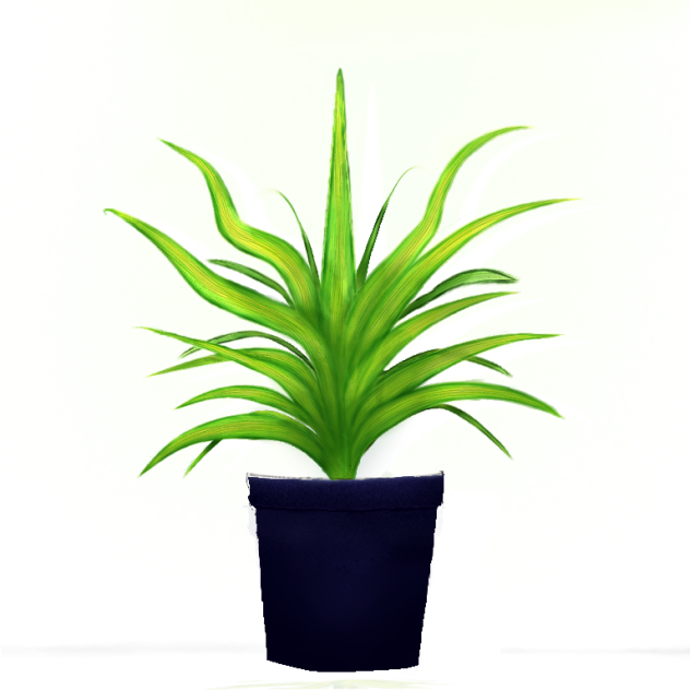 Potted Plant - ibisPaint