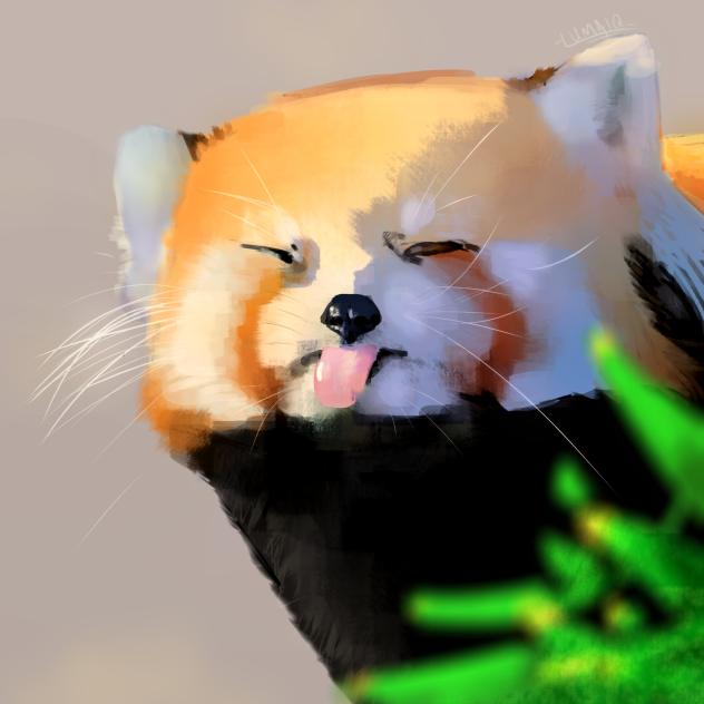 Red Panda - ibisPaint