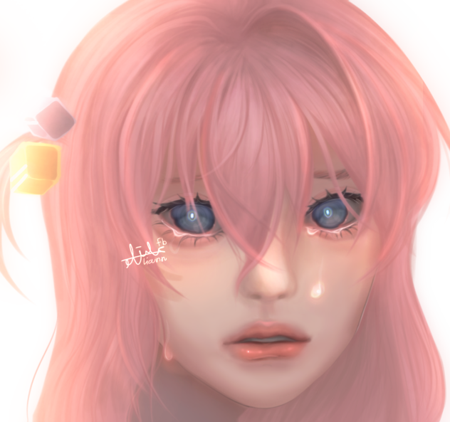 the rock - ibisPaint