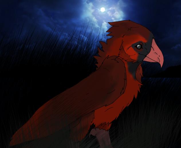 Cardinal (OC) - ibisPaint