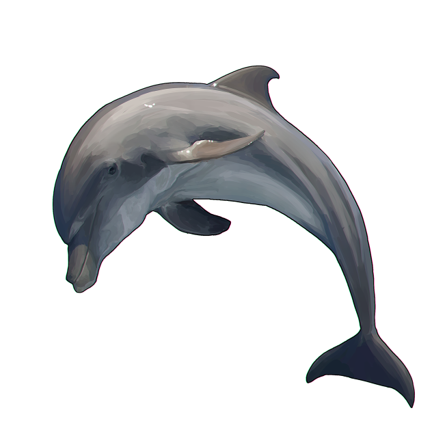 Dolphin by KarylArts - ibisPaint