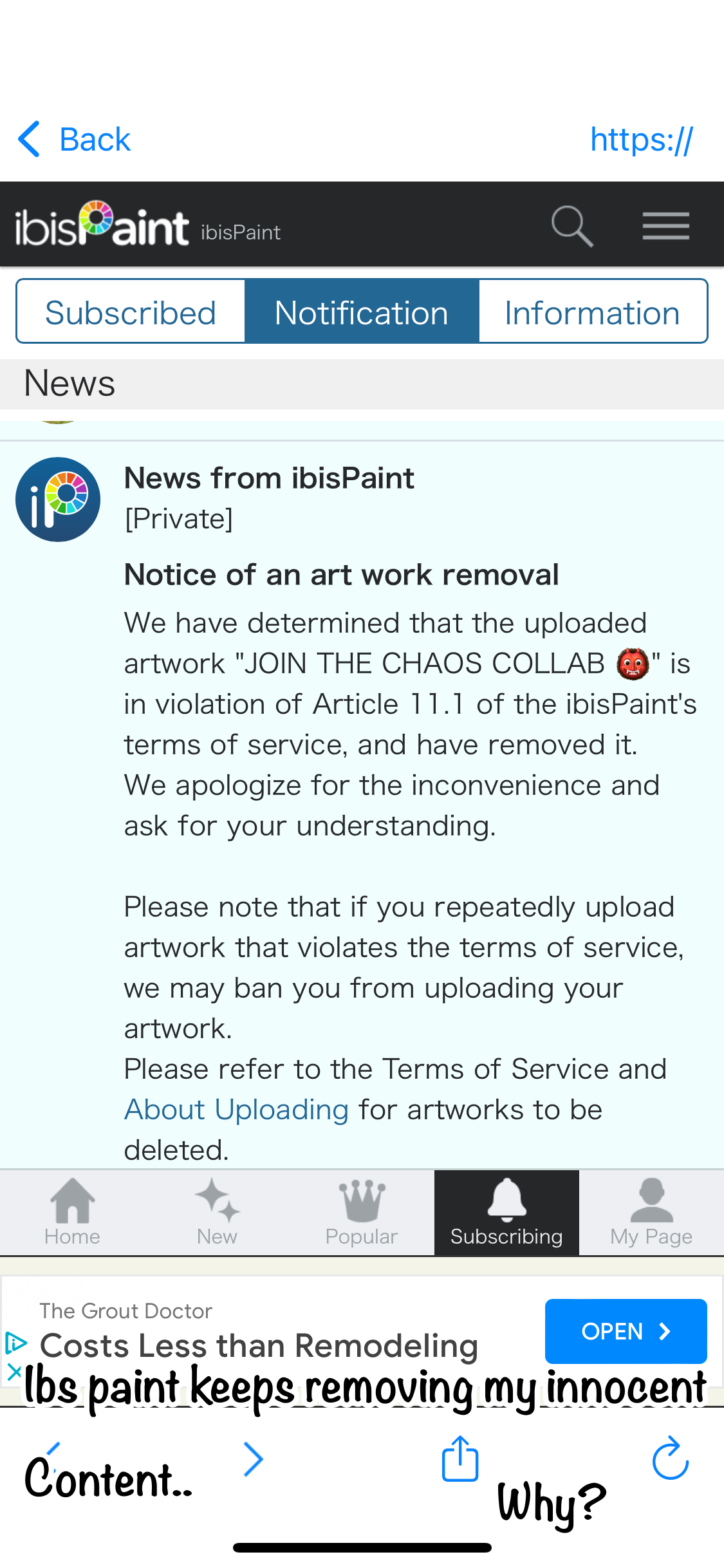 why ibs paint - ibisPaint