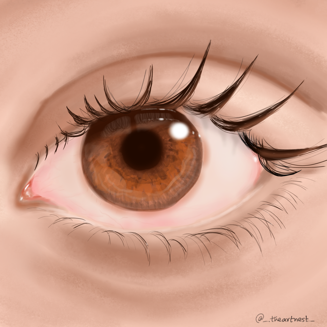 Brown eyes - ibisPaint