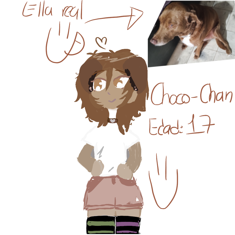 choco 🐶 - ibisPaint