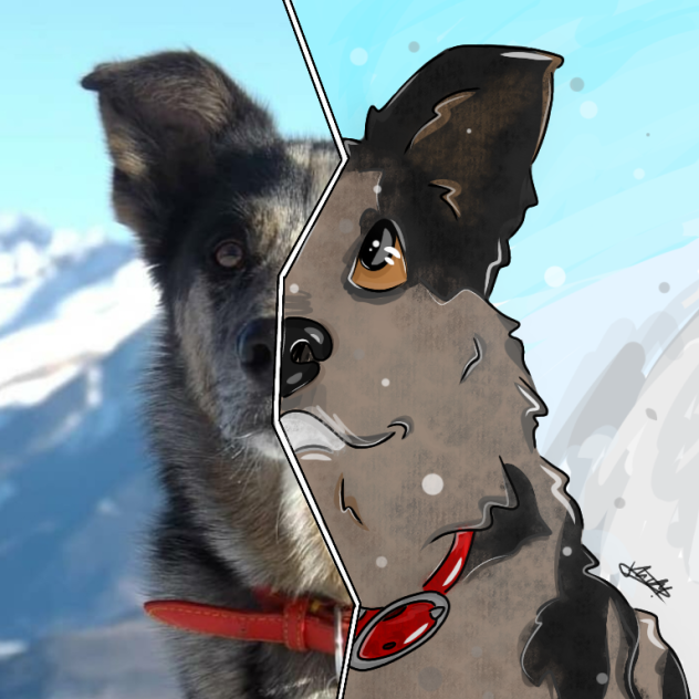 pongo 2.0 - ibisPaint