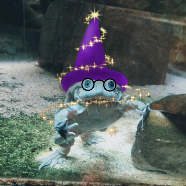 magic frog - ibisPaint