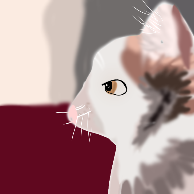 Um gato - ibisPaint