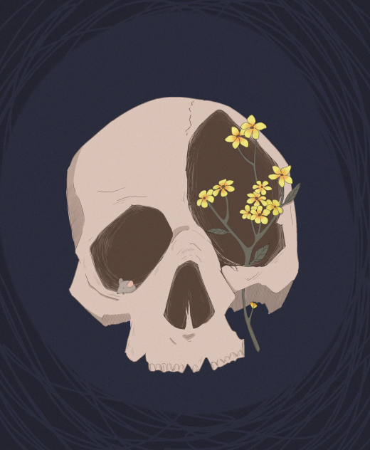 skull boi - ibisPaint