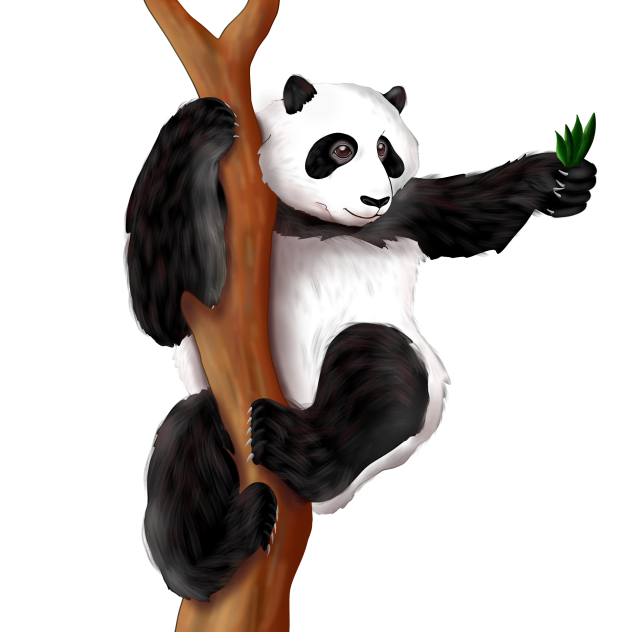 oso Panda - ibisPaint