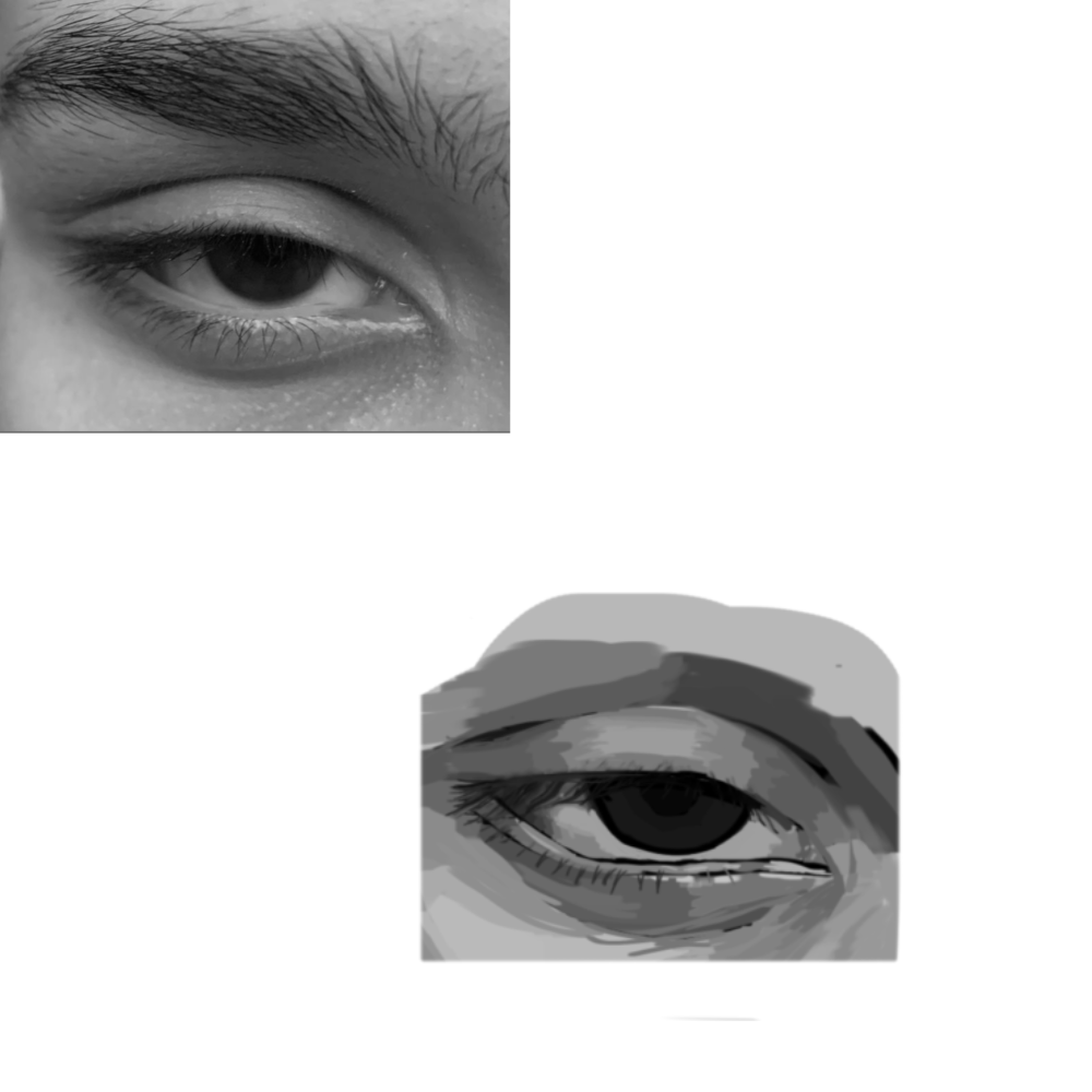 Lil realism study - ibisPaint