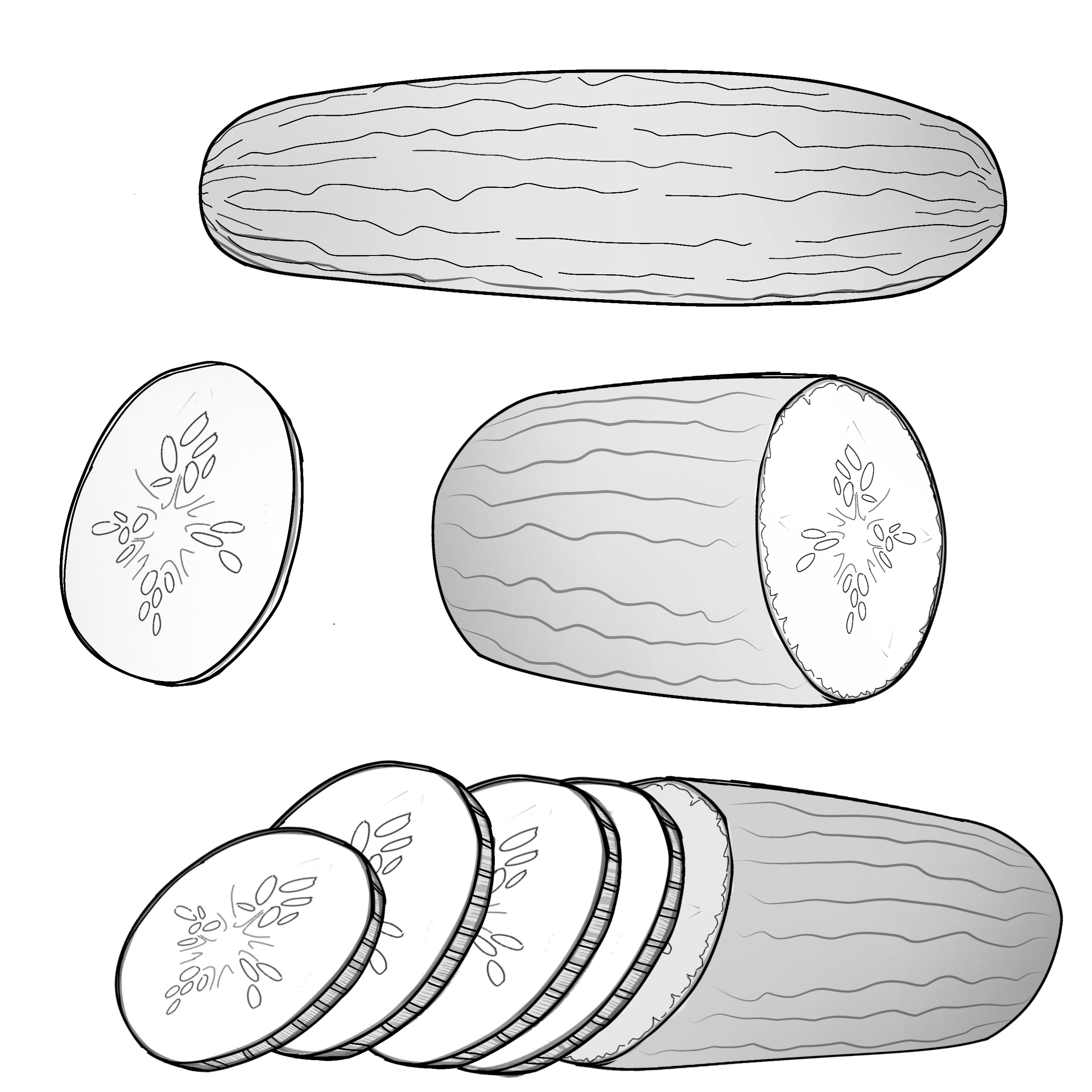 cucumber - ibisPaint