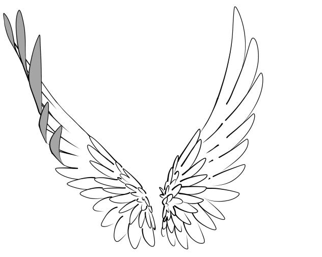 wings #4 - ibisPaint