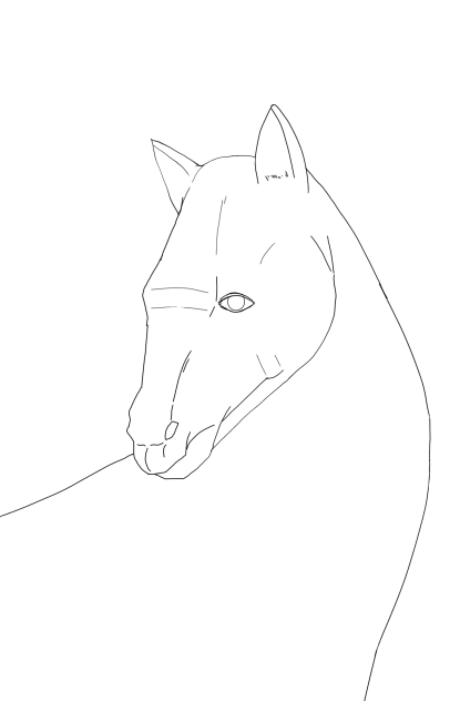 horse - ibisPaint