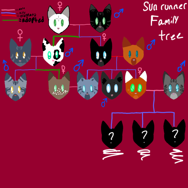 Sun runner’s family tree - ibisPaint