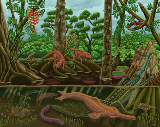 The Pebas System - ibisPaint