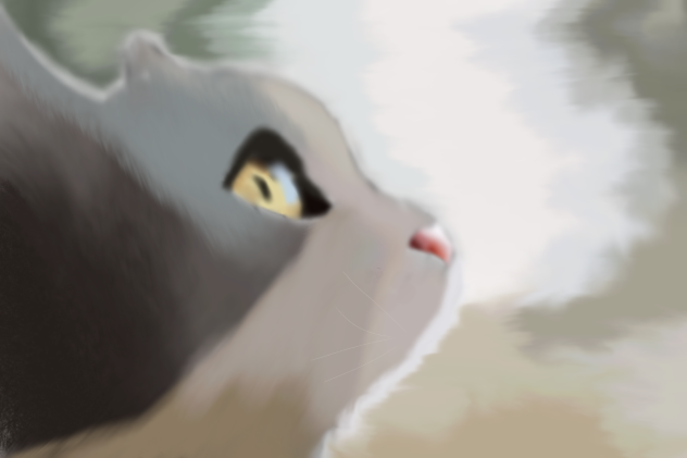 Cat - ibisPaint