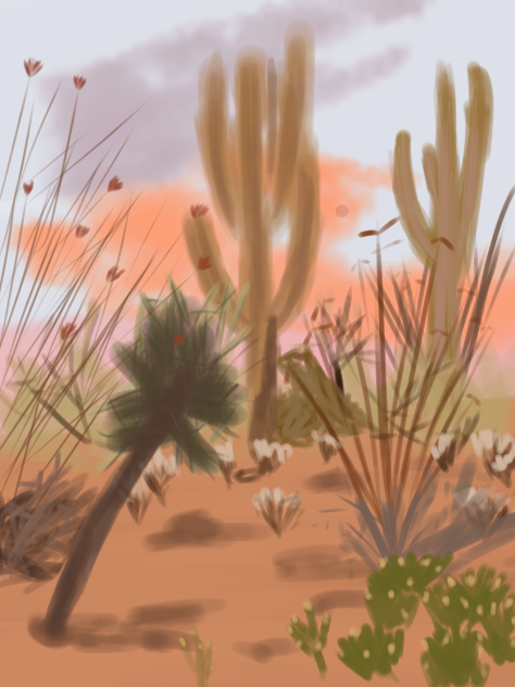 Desert - ibisPaint