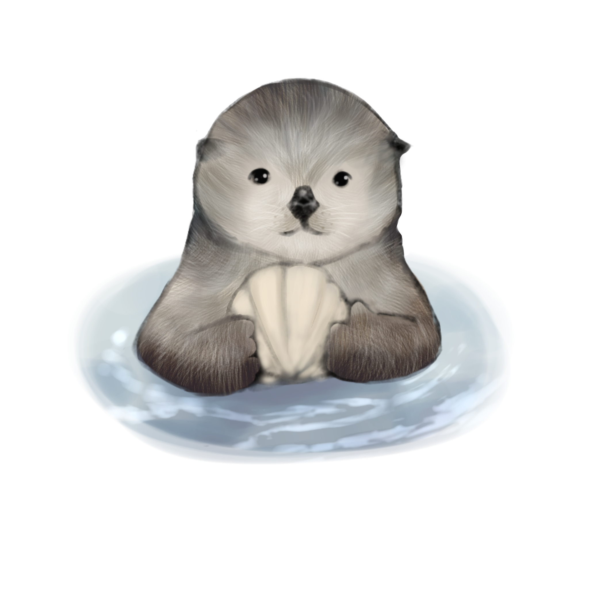 IBM2806 sea otter baby - ibisPaint