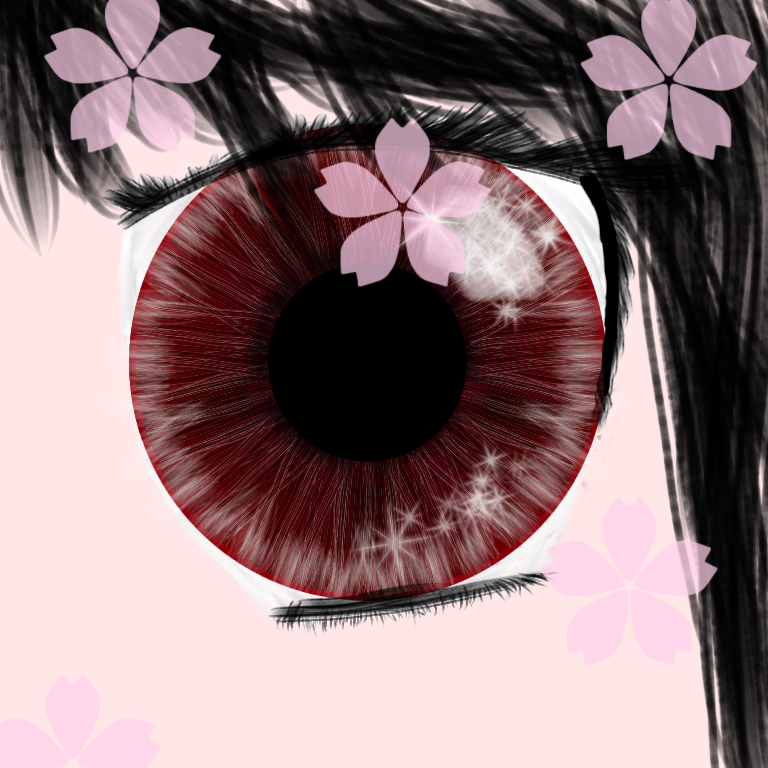 Sakura Cherry blossom - ibisPaint