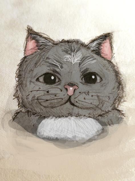 KITTYYYYY - ibisPaint