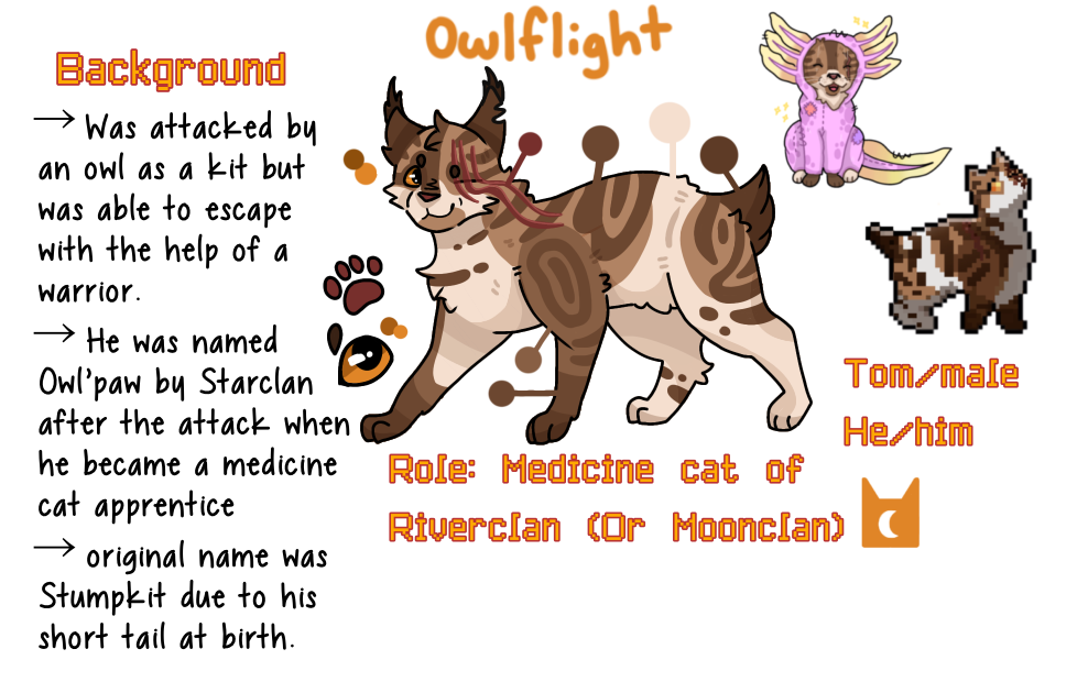 Owl’flight reference - ibisPaint