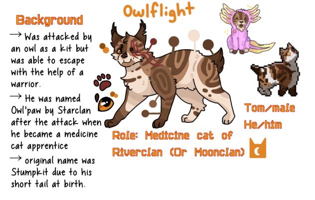 Owl’flight reference - ibisPaint