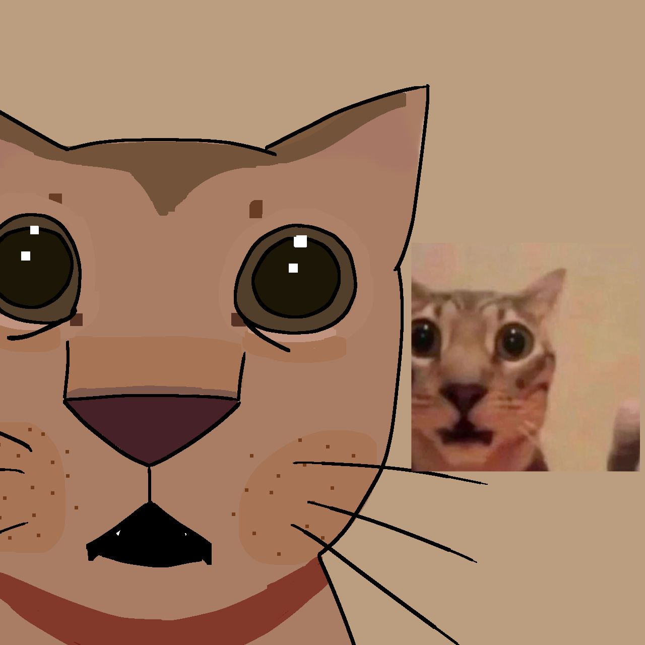 Gato omg - ibisPaint