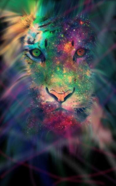 galaxy tiger - ibisPaint