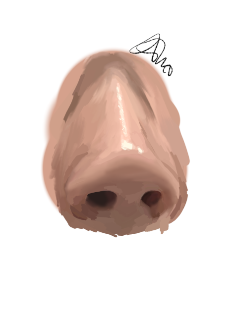 Nose - ibisPaint